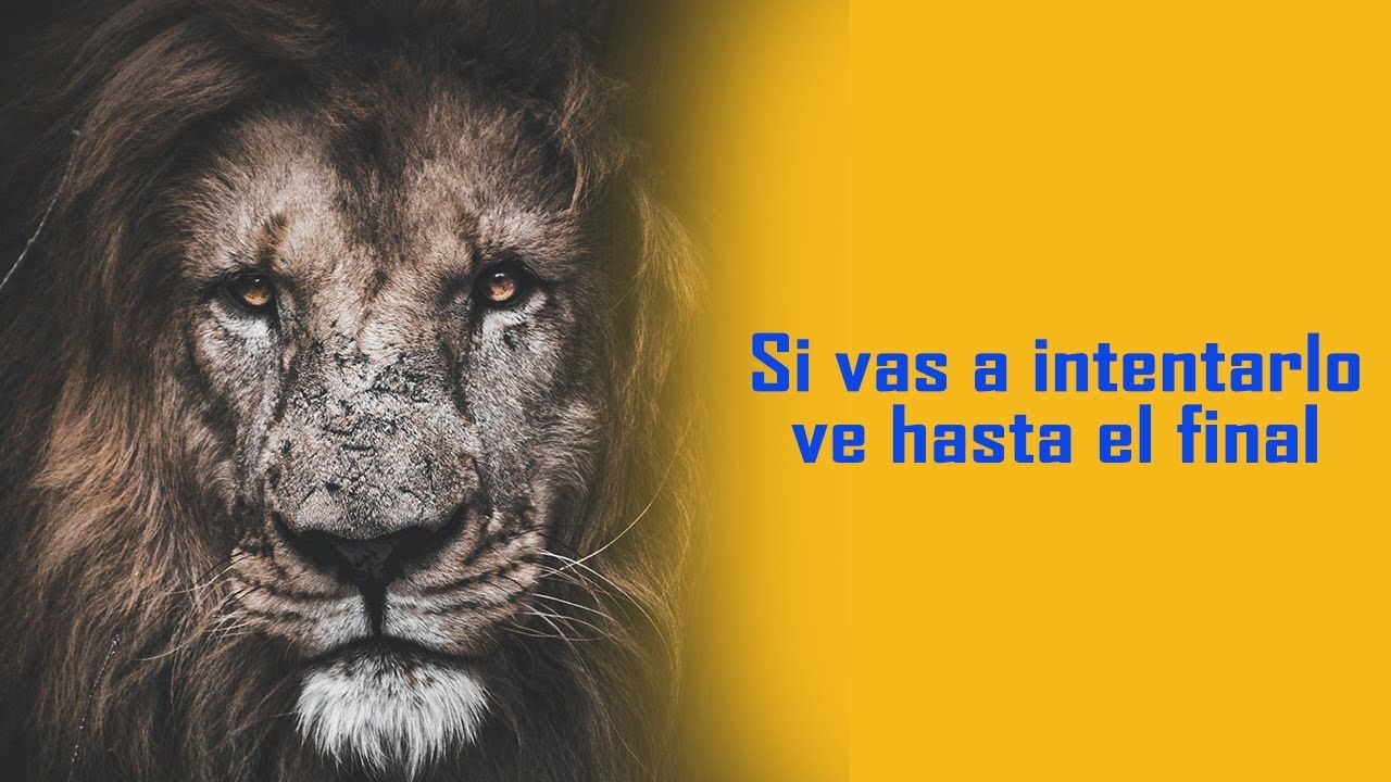 Frases Motivadoras: Cómo Motivar con Palabras y Encontrar Inspiración ...
