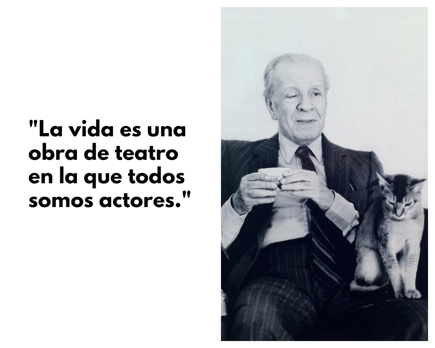 60 frases de Jorge Luis Borges - Frases Mias